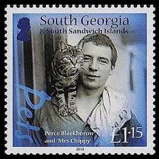 Mrs. Chippy, el gato antártico – Gatos y Respeto