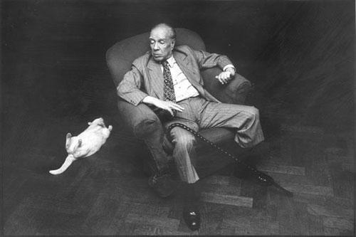Odín y Beppo, dos gatos de Jorge Luis Borges – Gatos y Respeto