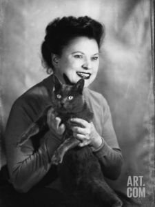 «Yo + gato» y «Gato sin mí», de Wanda Wulz – Gatos y Respeto