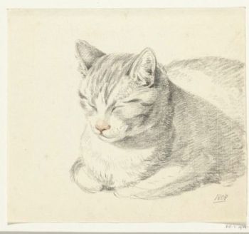 Gatos y el poeta John Keats – Gatos y Respeto
