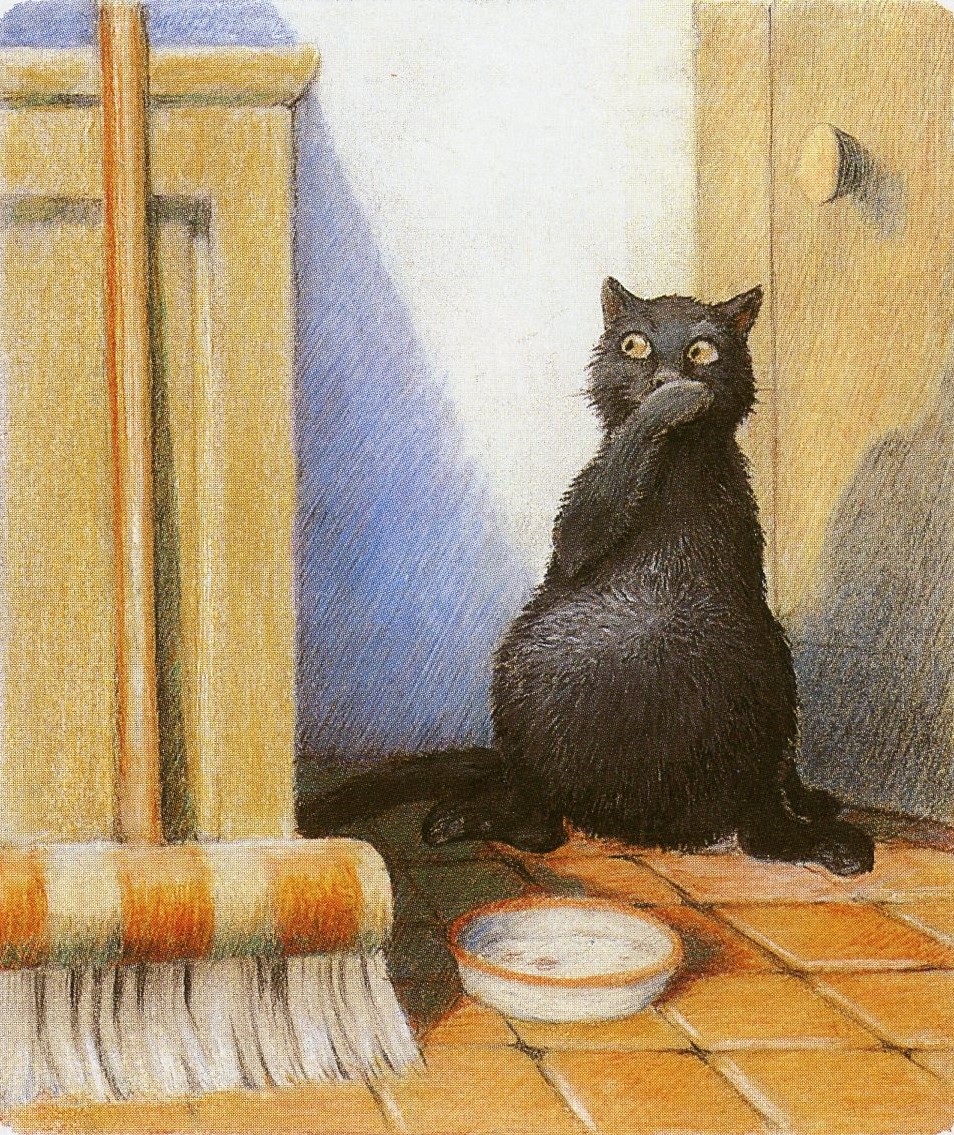 Sid, el gato que comía seis veces – Gatos y Respeto