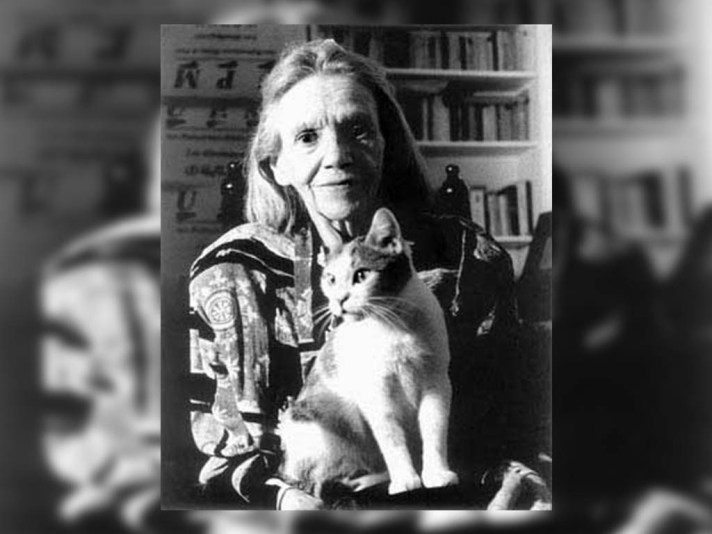 Los 14 gatos de la escritora Elena Garro – Gatos y Respeto