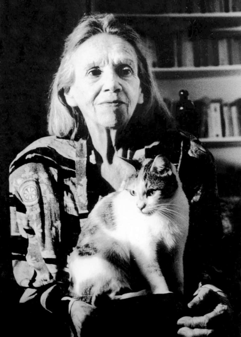 Los 14 gatos de la escritora Elena Garro – Gatos y Respeto
