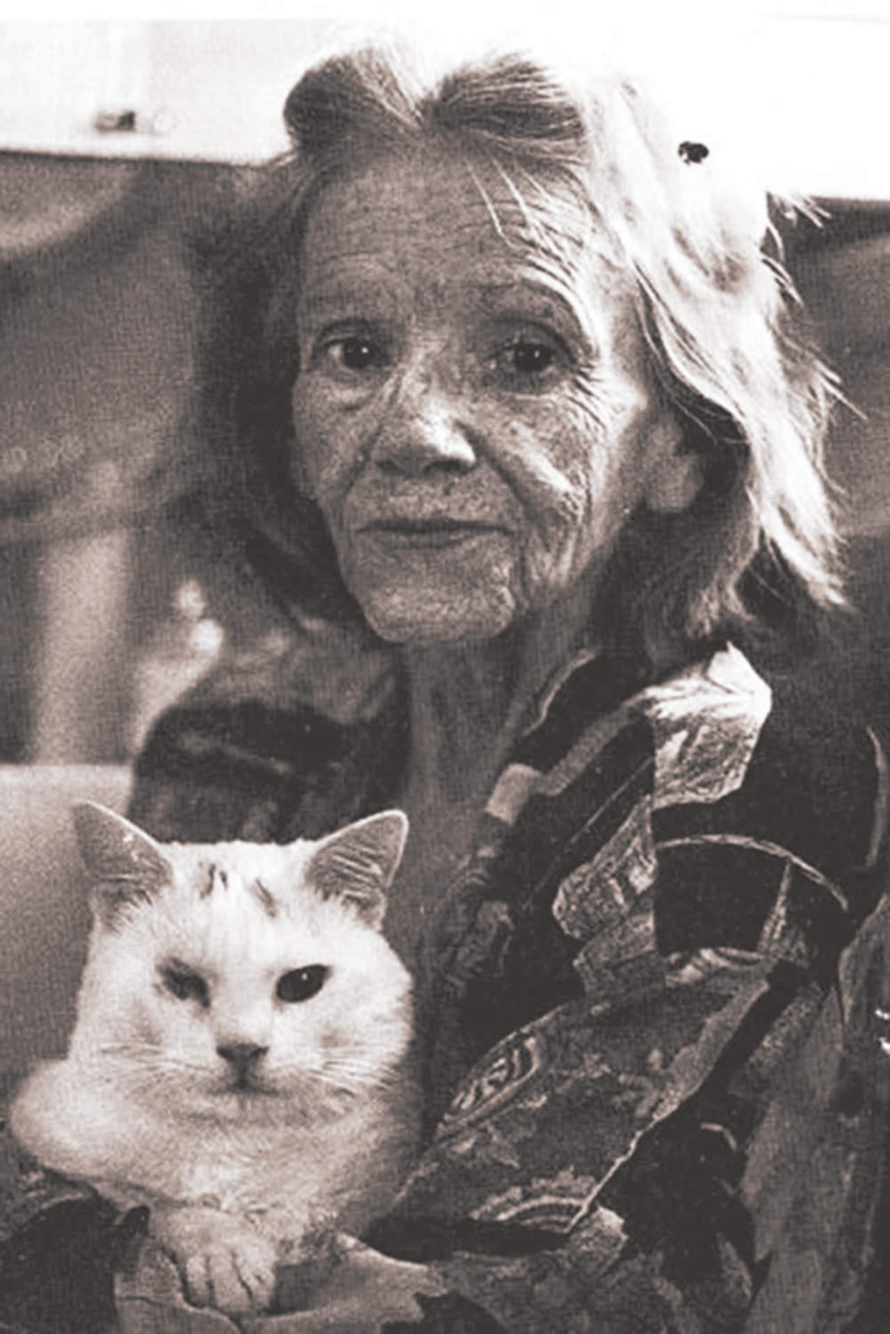 Los 14 gatos de la escritora Elena Garro – Gatos y Respeto