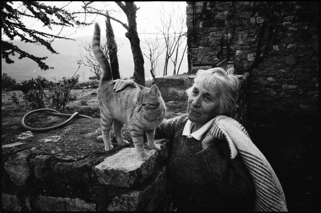 Los gatos de la fotógrafa Martine Franck – Gatos y Respeto
