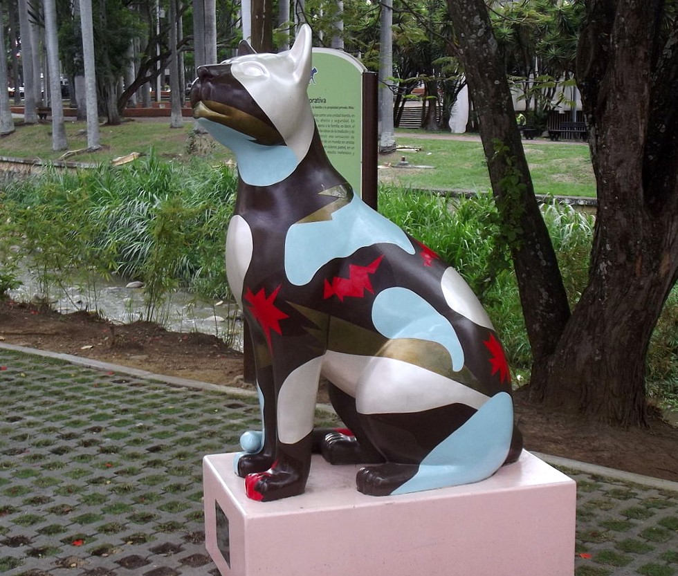 El Gato del Río y Hernando Tejada – Gatos y Respeto