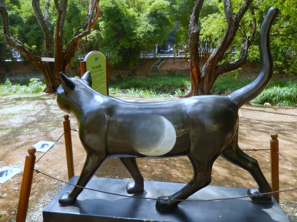 El Gato del Río y Hernando Tejada – Gatos y Respeto