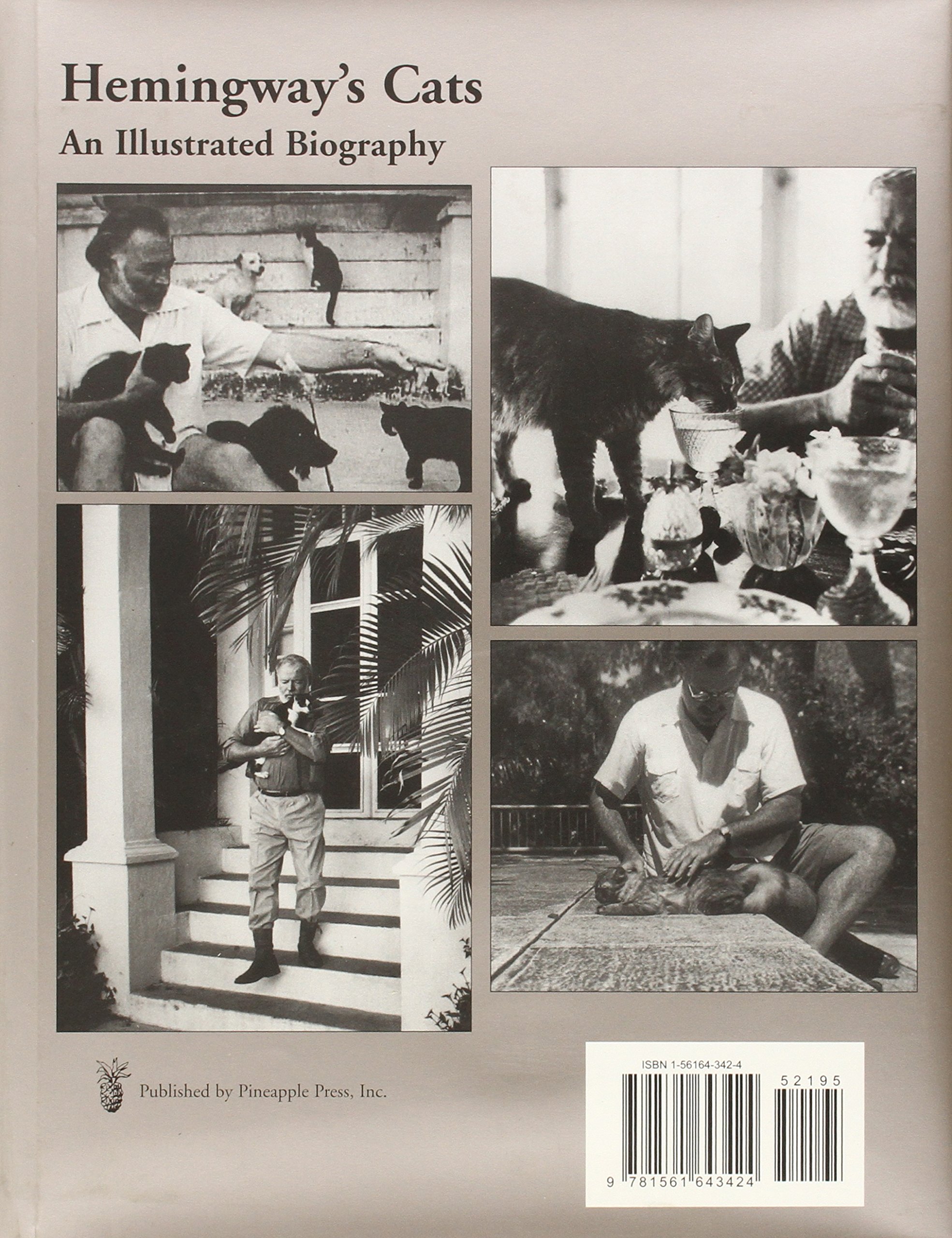 Muchos gatos y Ernest Hemingway – Gatos y Respeto