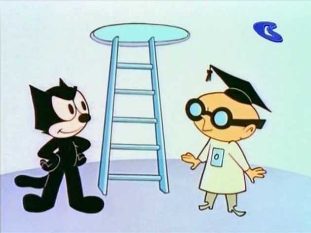 El gato Félix – Gatos y Respeto