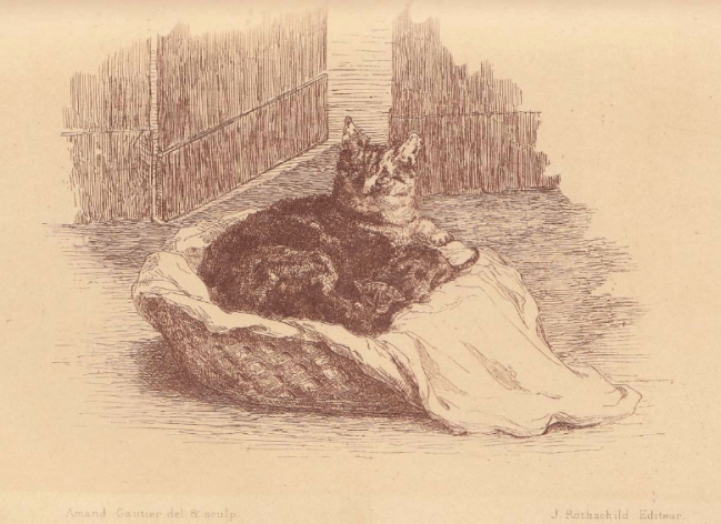 Nuestro amigo el gato, de Paul Mégnin – Gatos y Respeto
