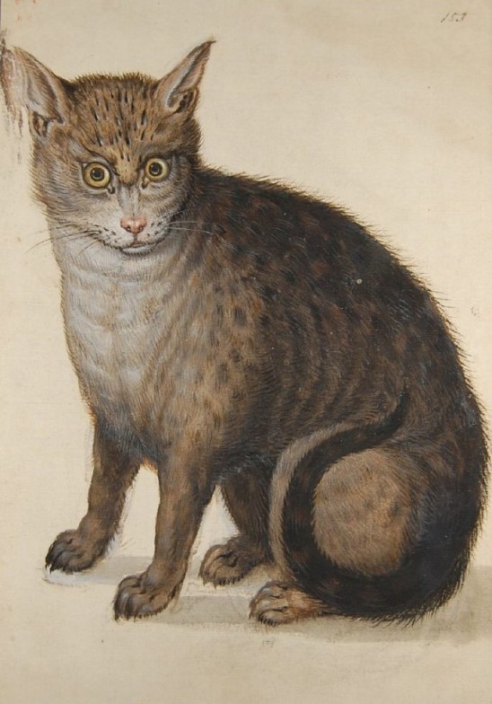 Jeoffry, el gato del poeta, de Oliver Soden – Gatos y Respeto