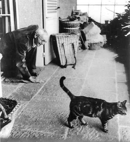 El gato Löwe y el escritor Hermann Hesse – Gatos y Respeto